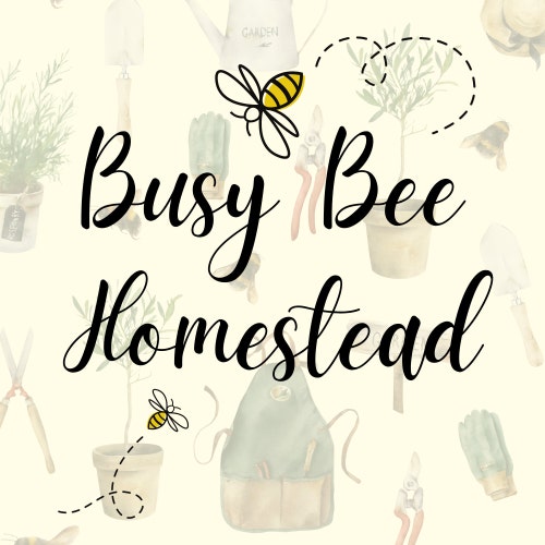 BusyBeeHomesteadCA - Etsy