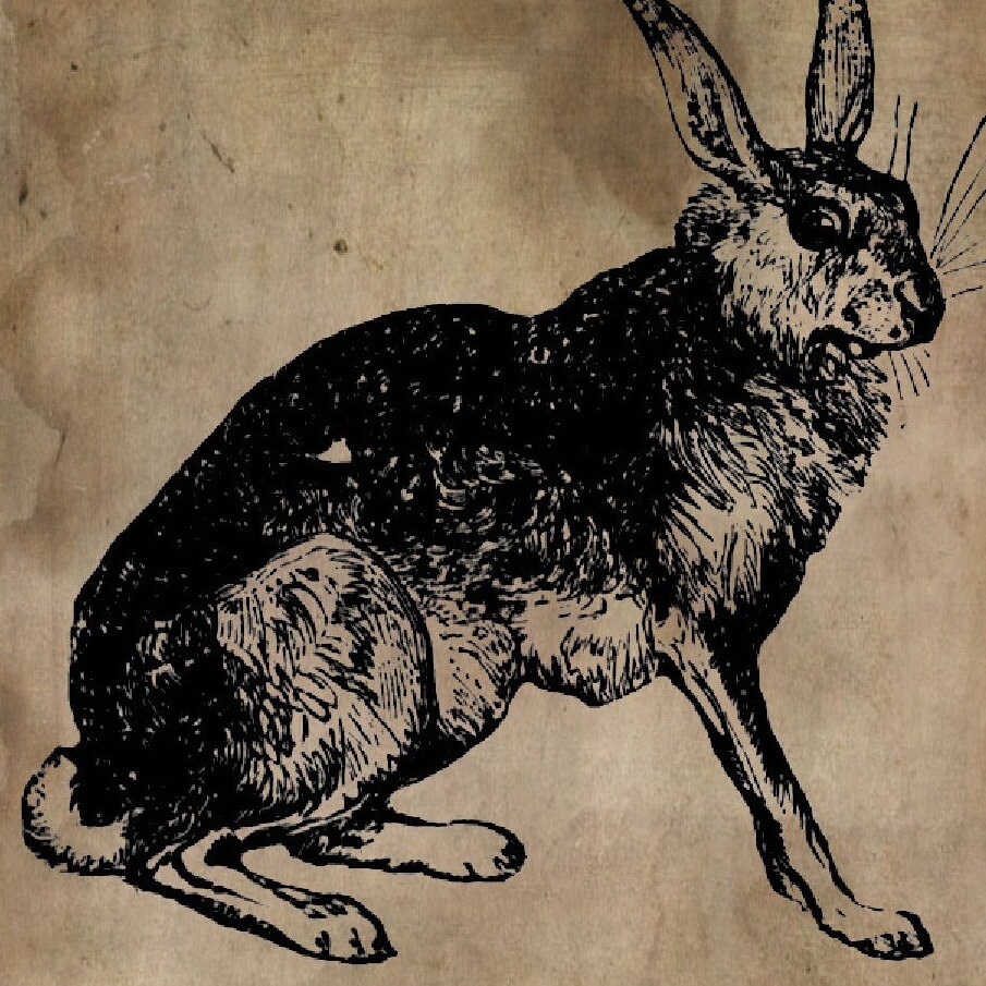 A Rustic Rabbit by ARusticRabbit on Etsy