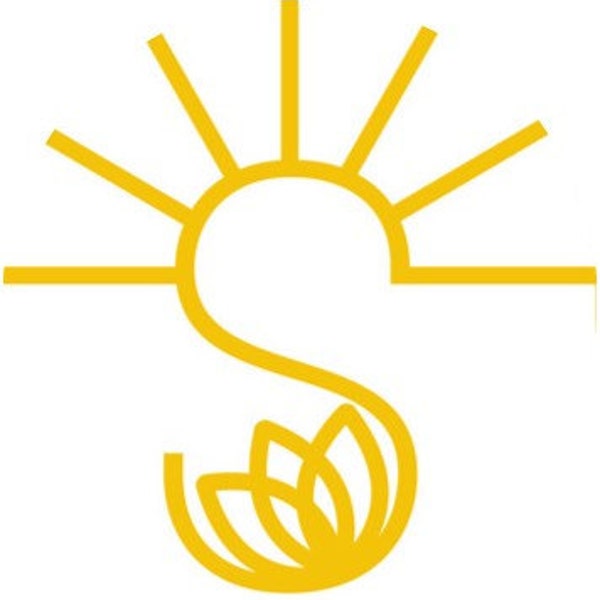 Rainbow Whale Shark, Glitter Star Whale Case, Fish Keychain, Fish Coin ...