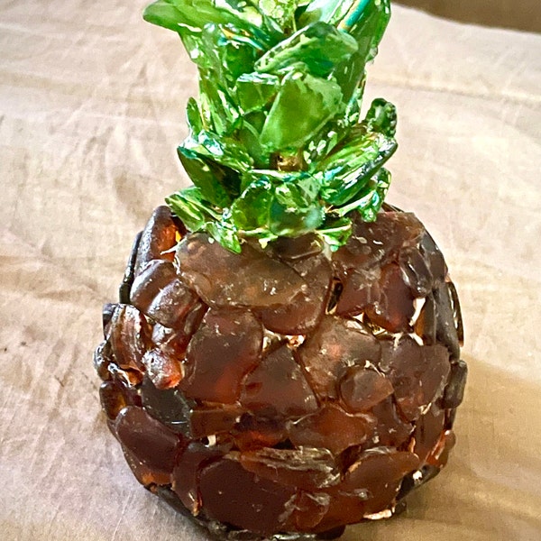 False Star Limpet Opihi Shells for Jewelry Making From Kauai - Etsy