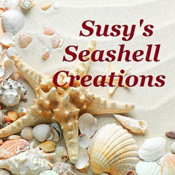 30 Zebra Top Seashells Seashells Australian Seashells Seashell Craft ...