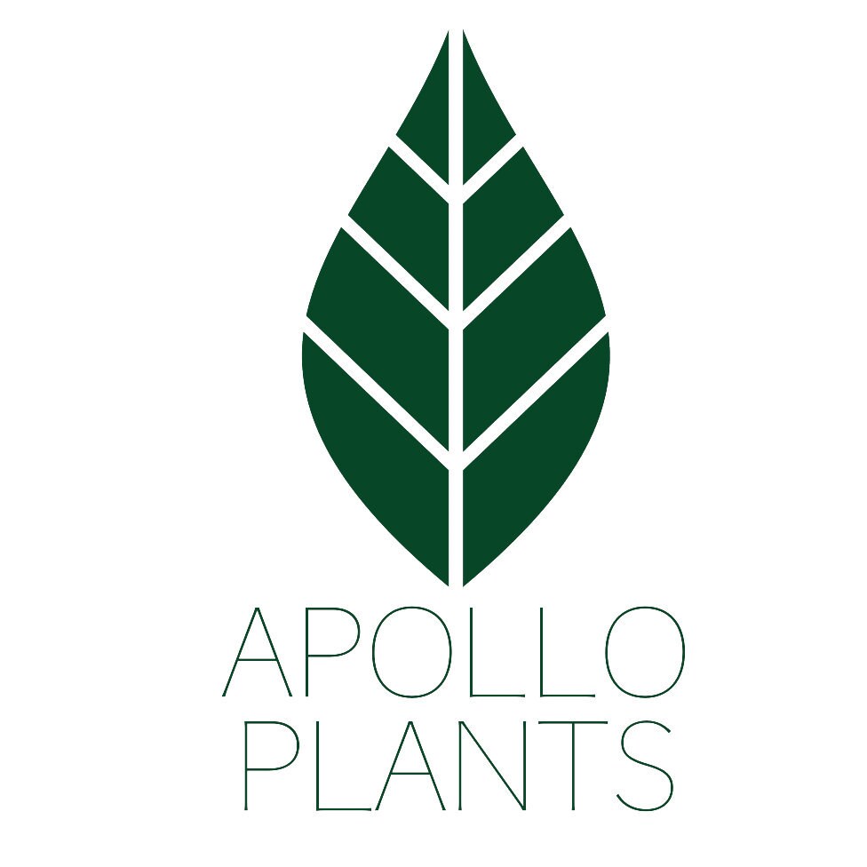 ApolloPlantsCo - Etsy