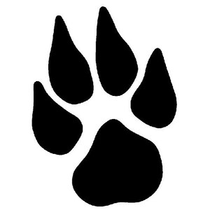 PNES / NEAD / Non-epileptic Seizures Awareness Ribbon Pin - Etsy