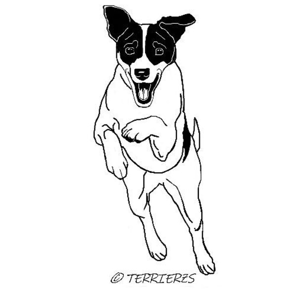 Jack Russell Terrier Dog Art Print Terrier Lover Gift Pastel Sketch Dog ...