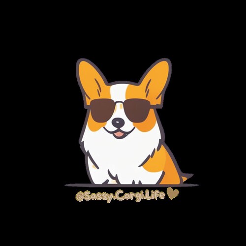 sassycorgilife - Etsy