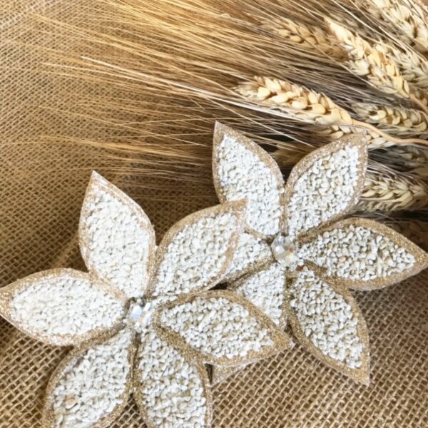 Hazelnut Cluster for Sofreh Aghd Persian Wedding Aroosi - Etsy