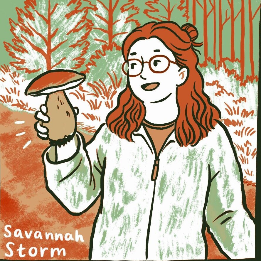 savannahstorm - Etsy