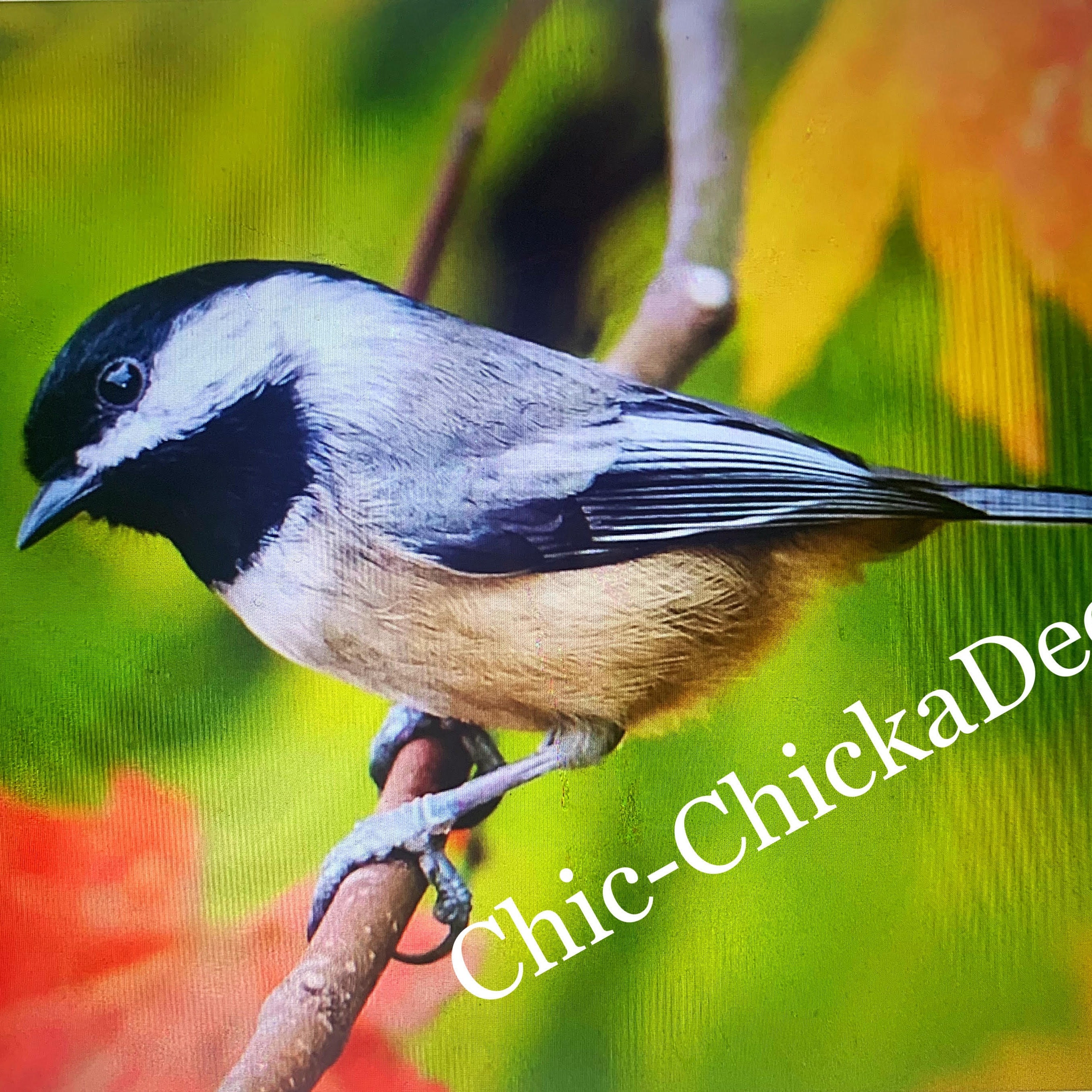 Chic-ChickaDee by TheChiChickaDee on Etsy