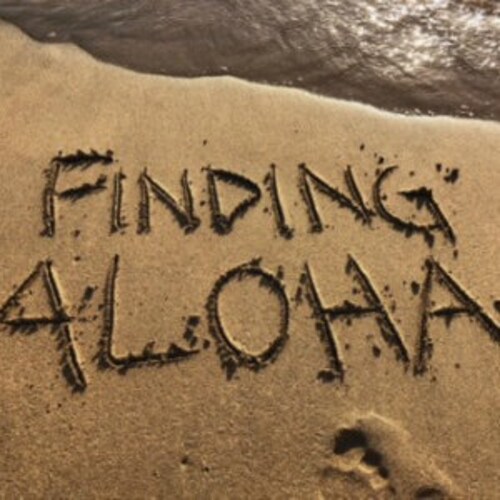 FindingAlohaCo - Etsy