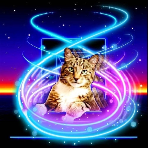 FidelTheRetrocat - Etsy