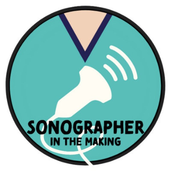 Ultrasound Study Notes, Organ Size Chart Abdomen, Ultrasound Student ...