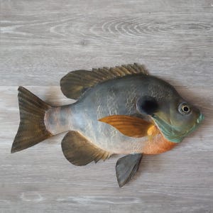 Halibut Fish Blank, 16-20 Inches 3D Wall Mounted Fish Blank, One Side ...