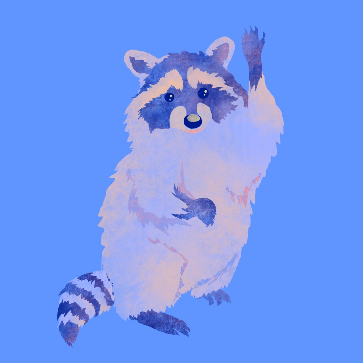 SupportRaccoons - Etsy