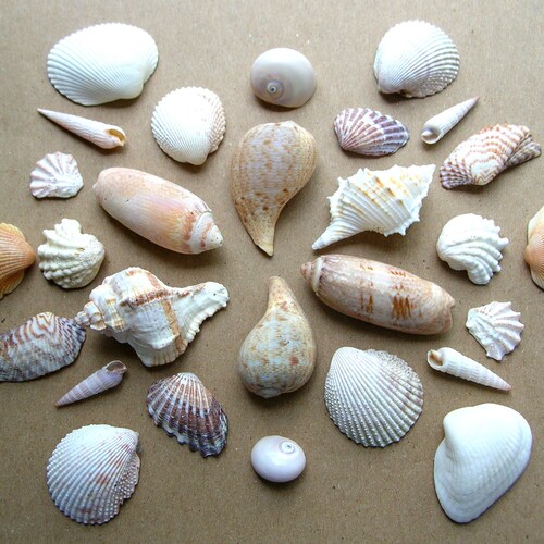 BohemianGypsyCaravan - Etsy