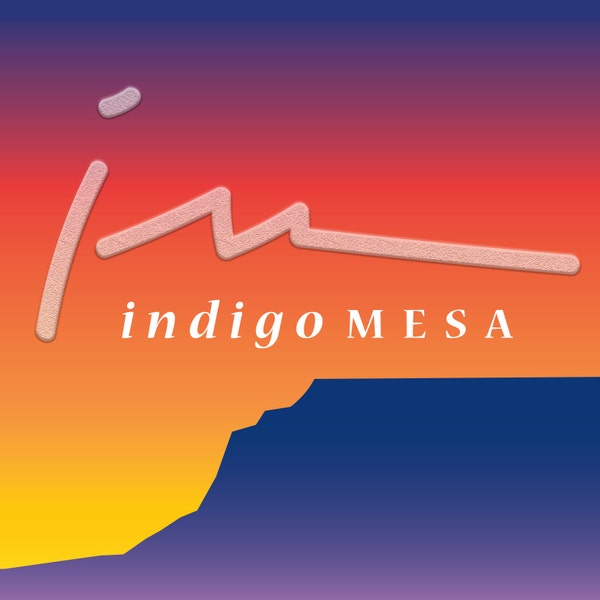 24-071 / Pink Lady Plume Agate and Silver Necklace / Natural Stone ...