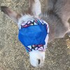 Goat/sheep Fly Masks With & W/o Horns Dual Adjustable Made to Order - Etsy