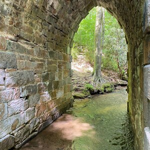 Vintage 2000 Nicole Marciano Autographed Photo 8x10 Penthouse Pet - Etsy