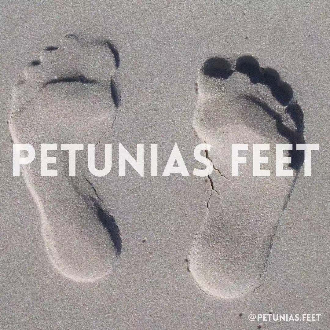 PetuniasFeet - Etsy