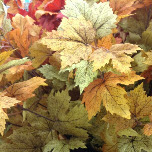 Shadow Box Frame Rainbow Rose Heart Shape Floral Arrangement Home ...