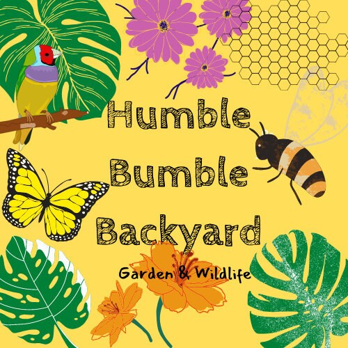 HumbleBumbleBackyard - All Things Backyard, Garden, & Wildlife. - Etsy