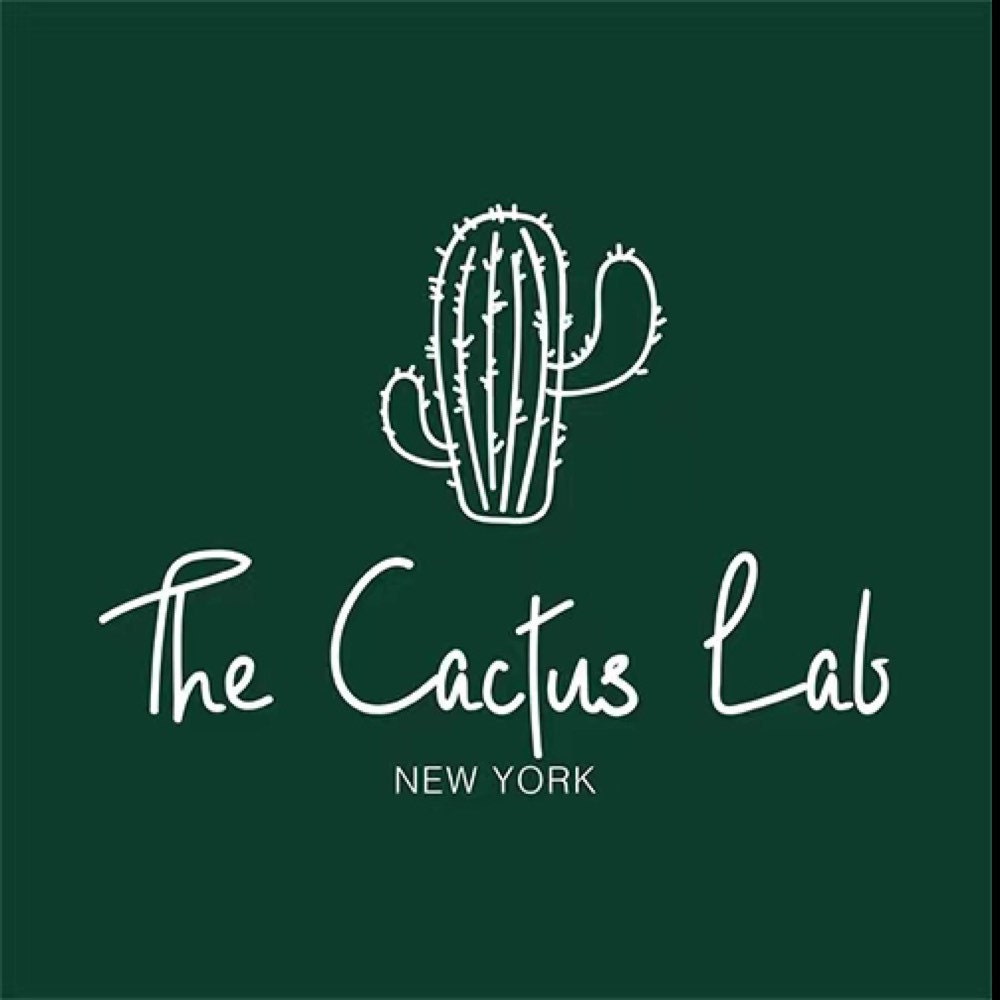 TheCactusLabStore - Etsy