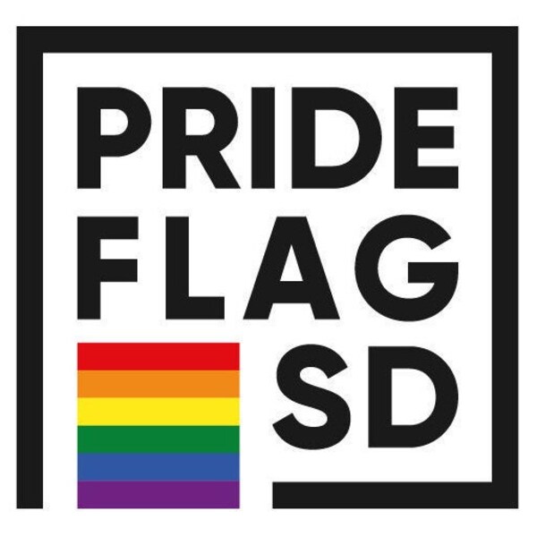 11-stripe Fully Inclusive Rainbow Flag, Hand Sewn 11 Stripe Rainbow ...