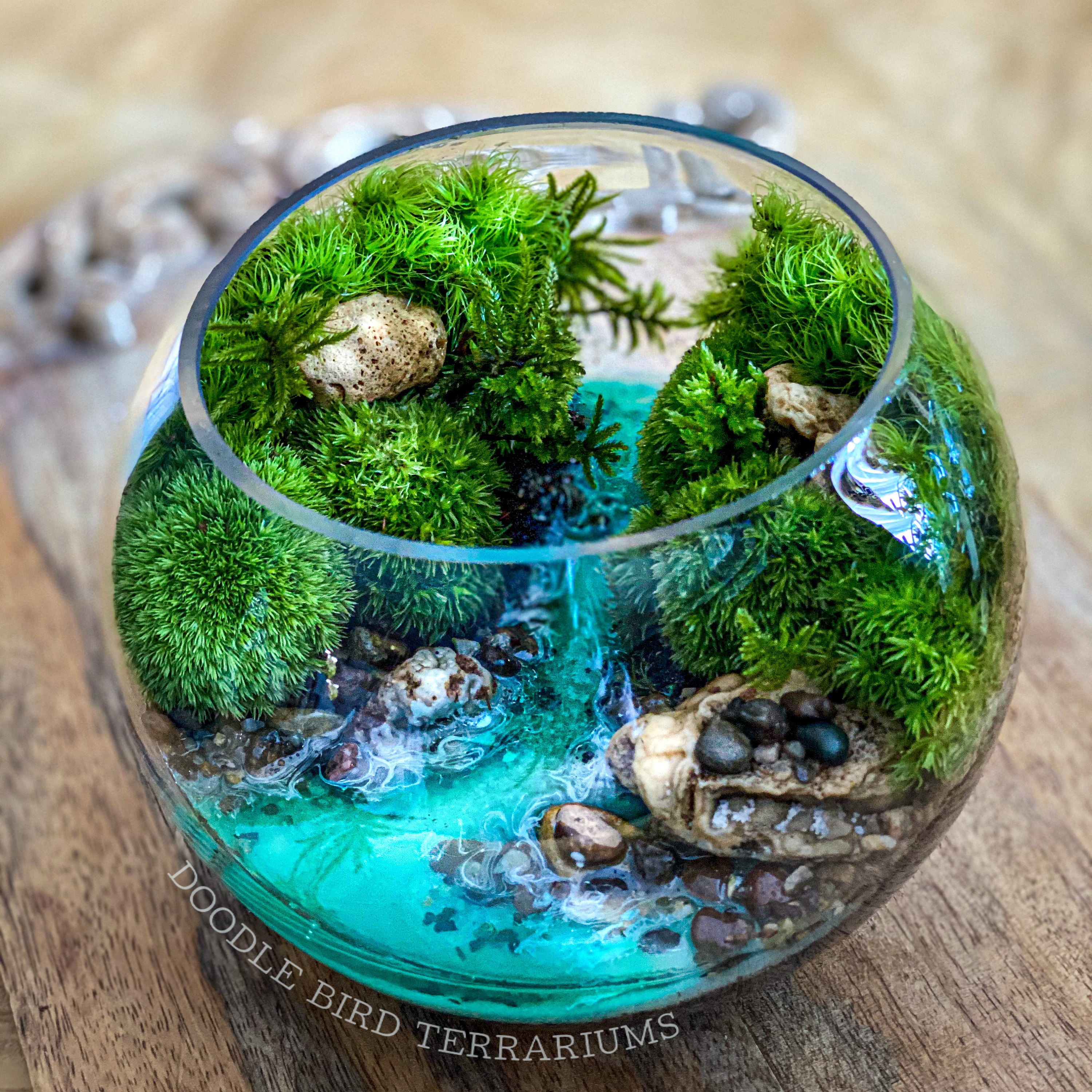 Terrarium Science: The Water Cycle