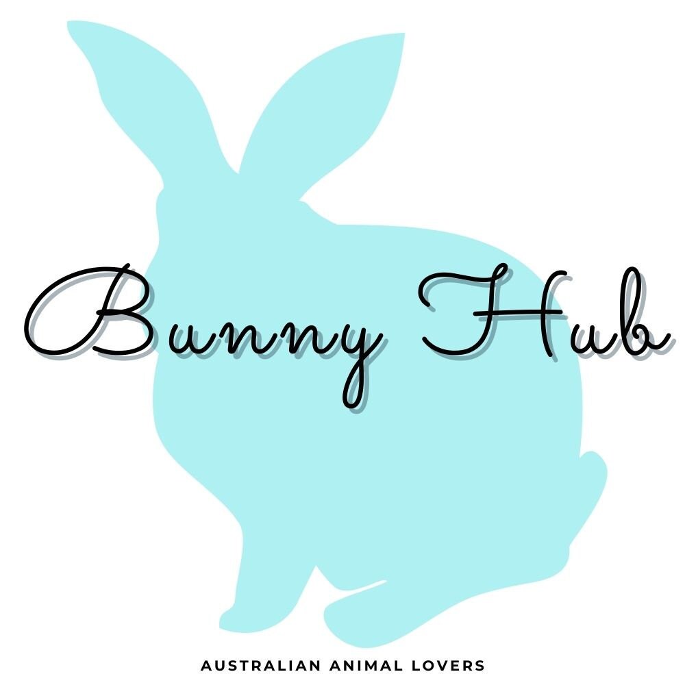 BunnyHub - Etsy