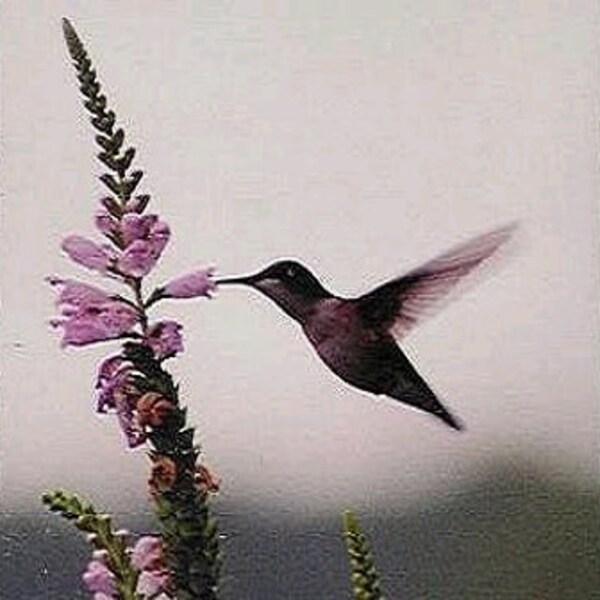 Note Greeting Card Display Rack New Acrylic 6 Tier 24 Counter Rack Fits ...