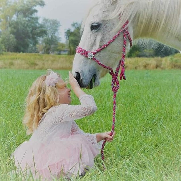 Handmade Mule Tape Tack by FabHorseWear on Etsy