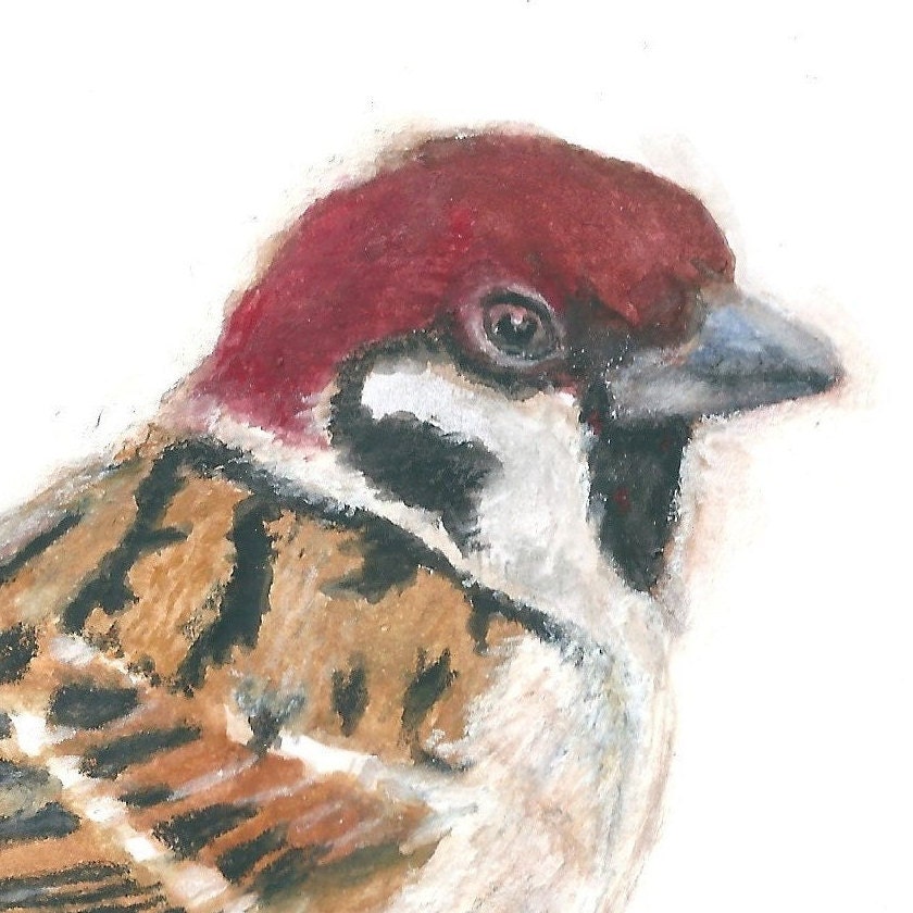 Illustrator Painter Papercraft Maker by LydiasWildlifeArt on Etsy