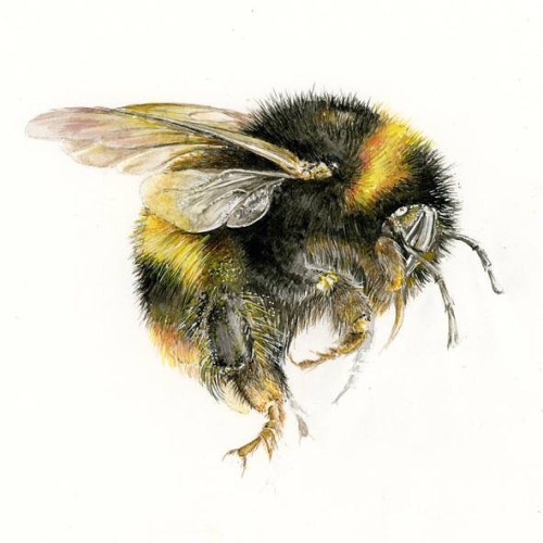 BeeSweetArt - Etsy UK