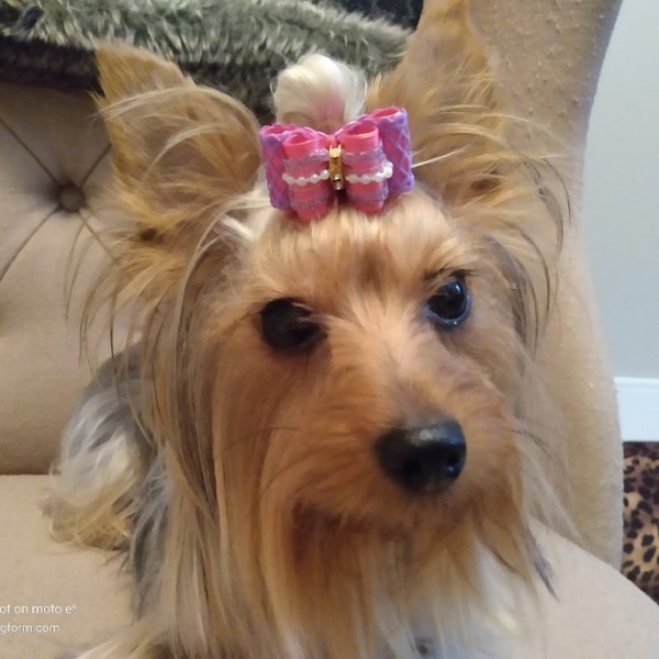 RAINBOW LADDER TRIM Dog Bow, Rainbow Dogform Bows, Fancy Rhinestone Dog ...