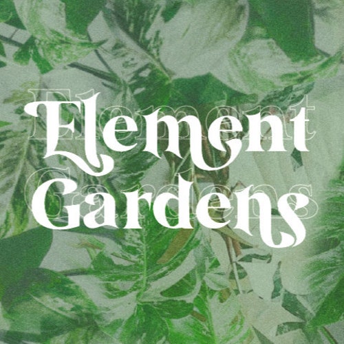 ElementGardens - Etsy
