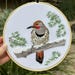 Loon Embroidery Kit, Complete Kit, Detailed Instructions, DMC Floss ...