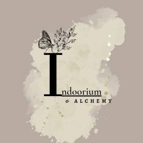 IndooriumandAlchemy - Etsy