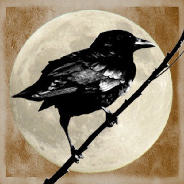 Rustic Red Rooster Inn Teal Country Decor Kitchen Cafe Art Matted ...