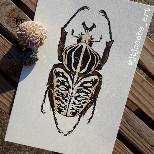 Monarch Butterfly Life Cycle Vinyl Sticker Packs - Etsy