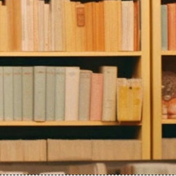 The ABC of Relativity Bertrand Russell Vintage Science Book Vintage ...