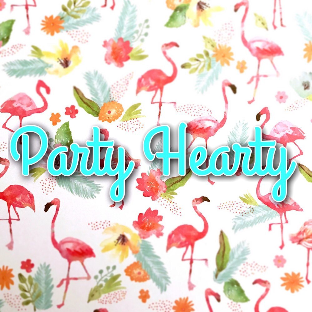 PartyHeartyStore - Etsy