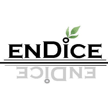 enDice by enDice on Etsy