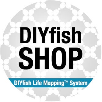 DIYfish - Etsy