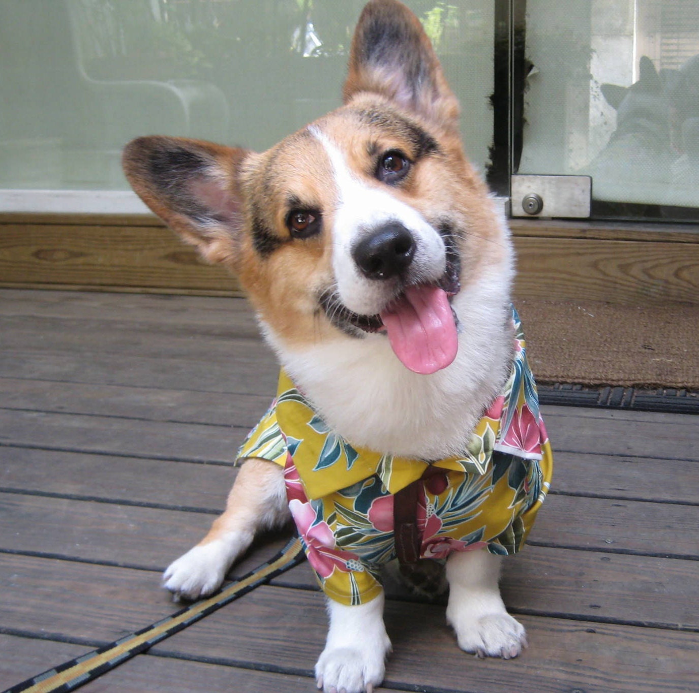 CorgiKuriandFriends - Etsy