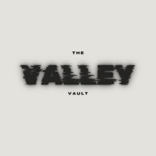 TheValleyVault - Etsy