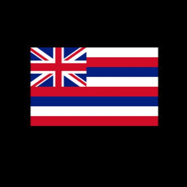 HAL Vintage Logo Decal Vinyl Weatherproof Indoor/outdoor - Etsy