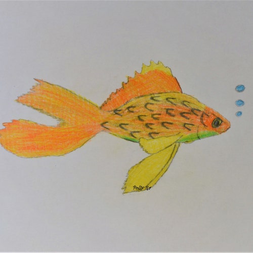 GoldFishBox - Etsy