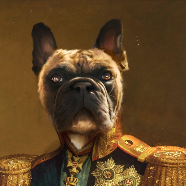 Red Ball, Formula Racing Car, F1 Driver Team Pet Portrait, Custom Dog ...