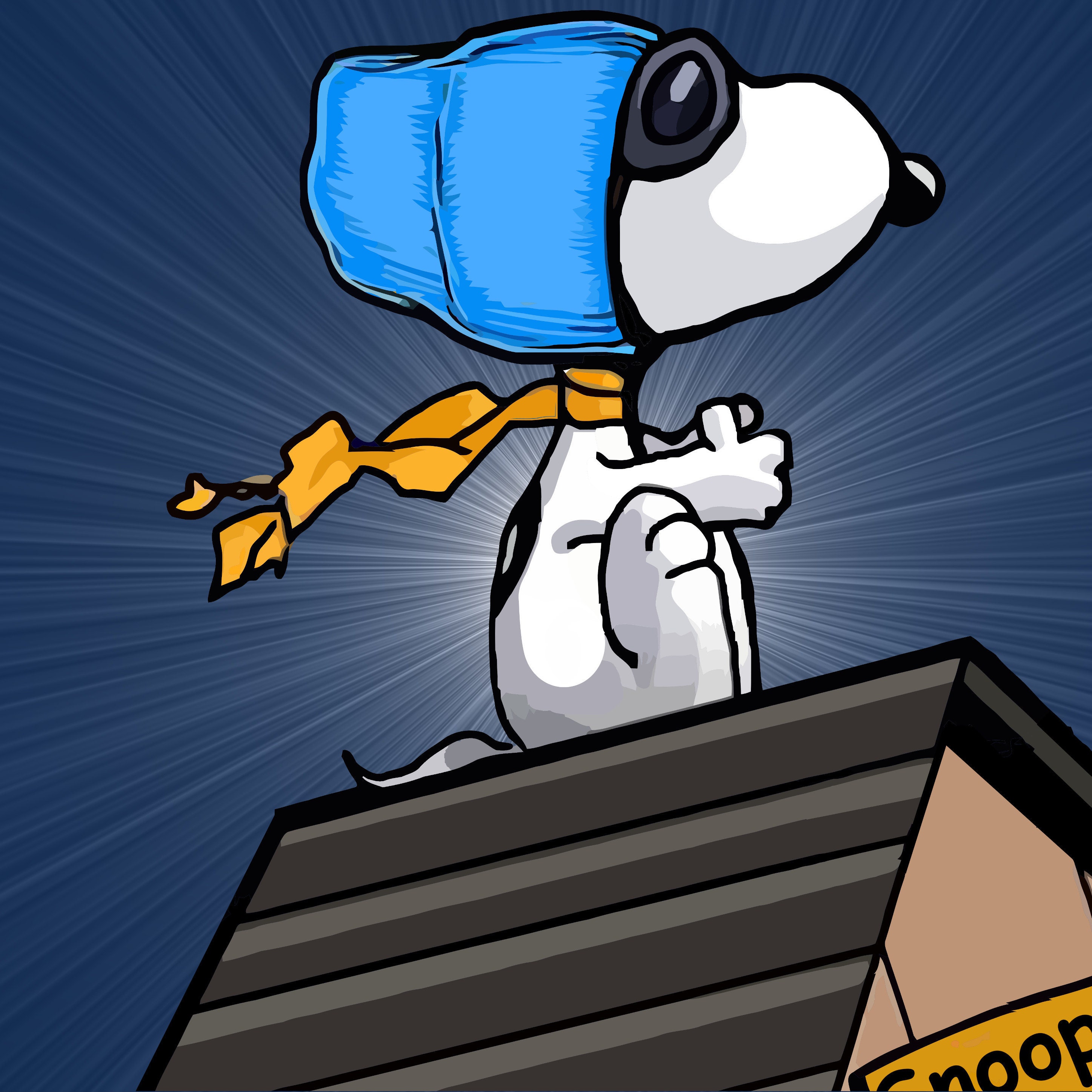 Peanutsspecial - Etsy