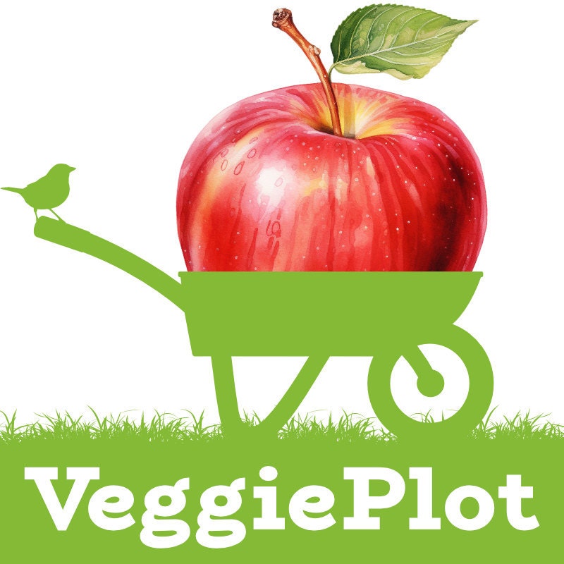 VeggiePlot - Etsy