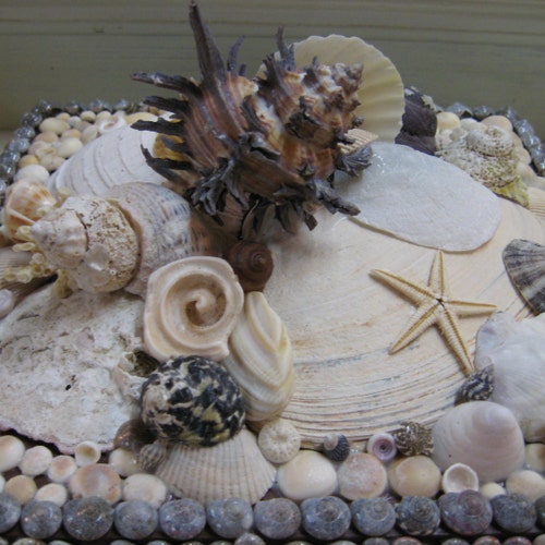 One of a Kind Handmade Shell Frames Boxes and by ByDesignShellArt